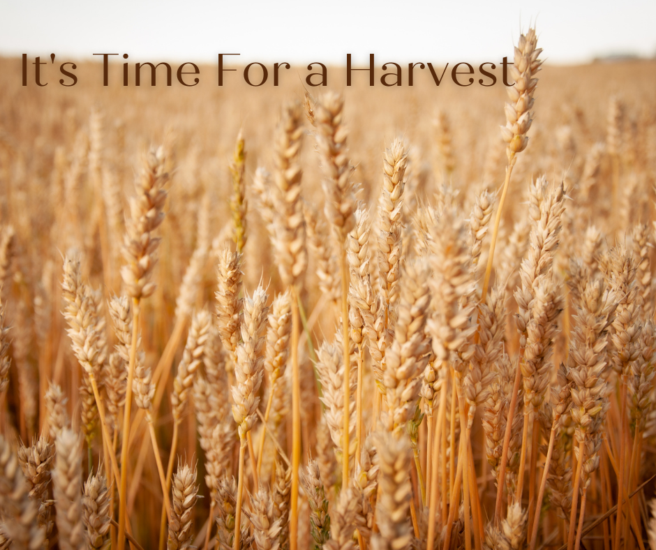 It’s Time for a Harvest – Cornerstone Church